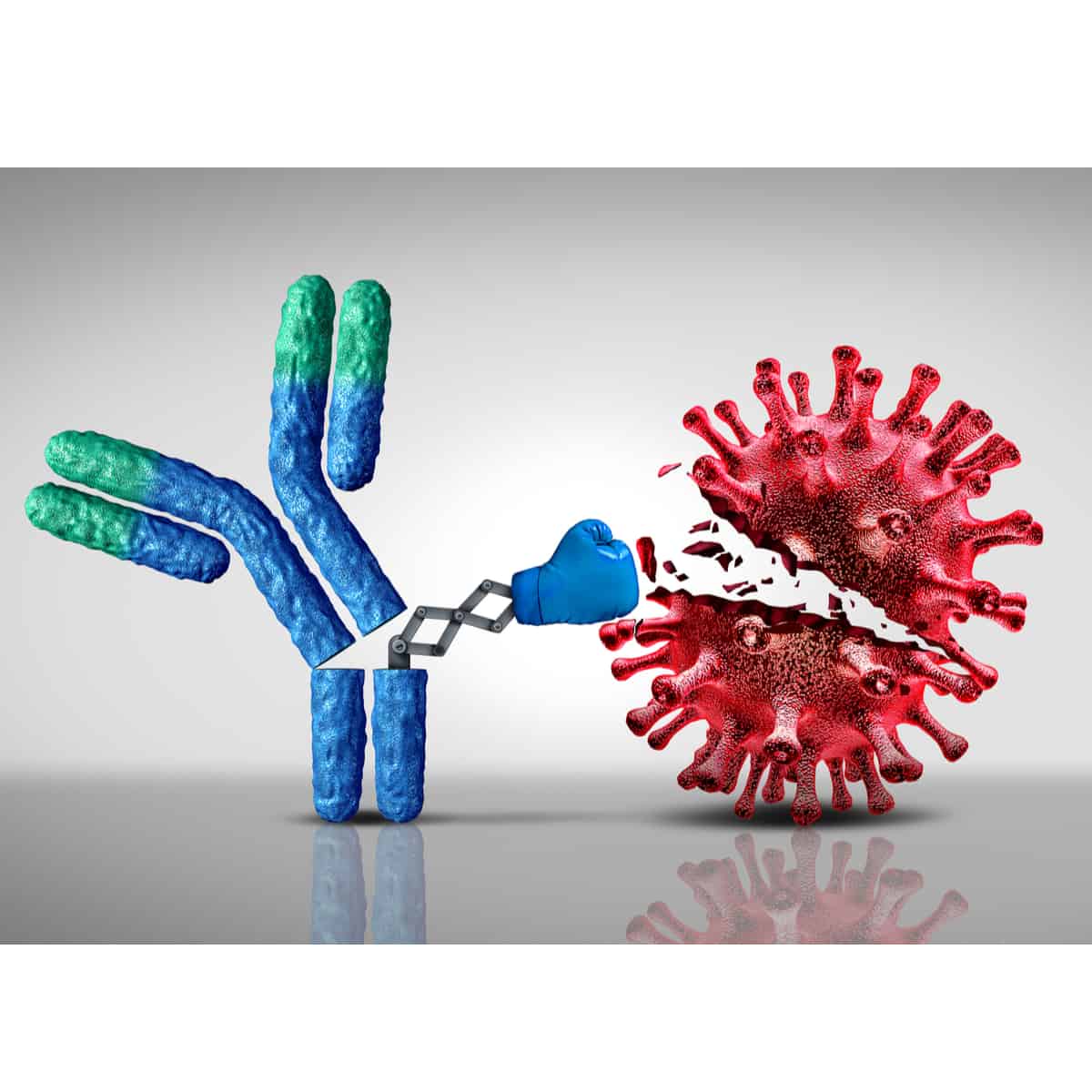 The Use of Gastrointestinal Immune Support Products