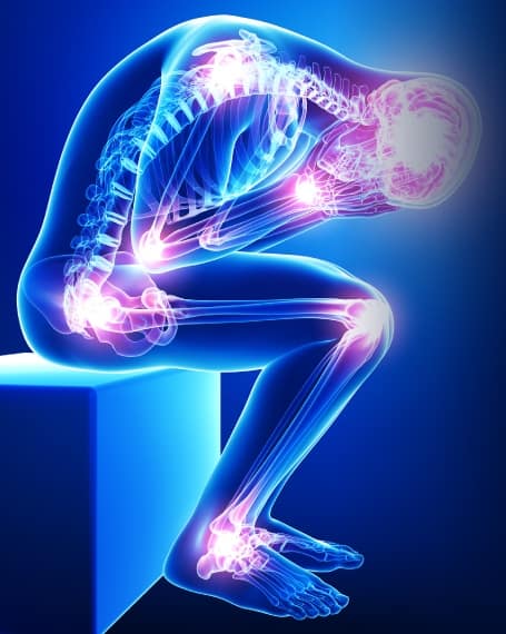 Finding the Cause of Inflammation to Stop the Disease Process