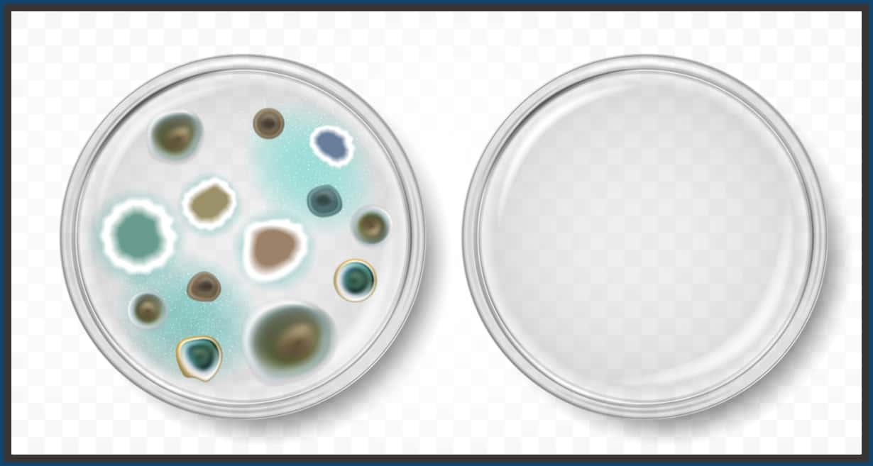 Using Mold Plate Testing With a Purpose